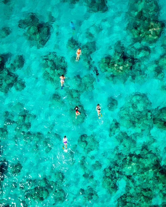 About Snorkeling Puerto Rico | Snorkeling Puerto Rico