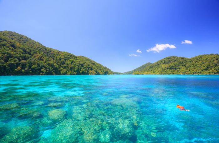 Best Snorkel Spots in PR Blog Post | Snorkeling Puerto Rico